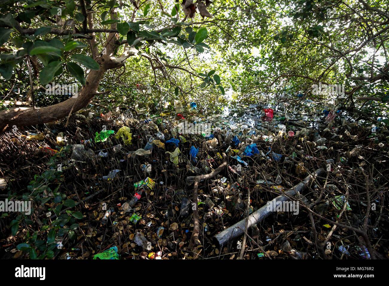 Comprising mostly of plastic bags, washed-up trash of Manila end up in ...