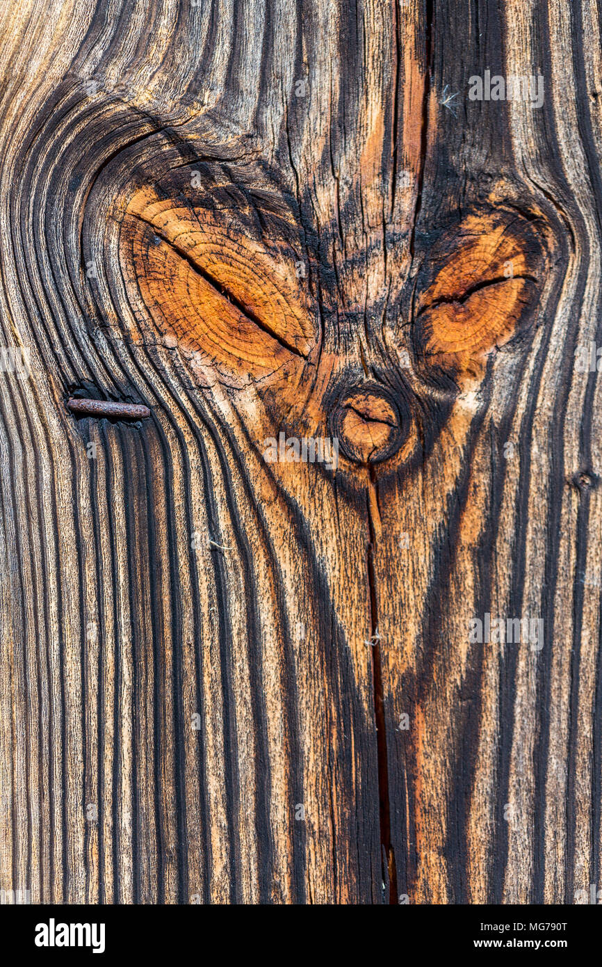 Ancient Wood texture background Stock Photo - Alamy