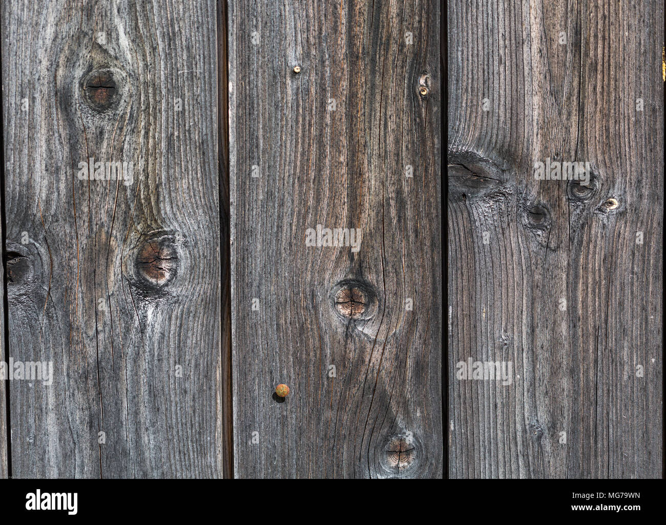 Old gray wood texture with natural patterns Stock Photo - Alamy