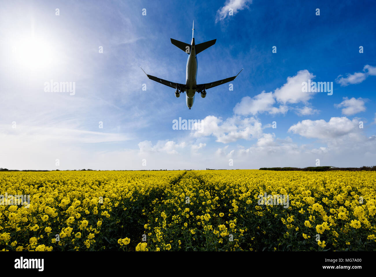 Airplane Landing Field High Resolution Stock Photography and Images - Alamy