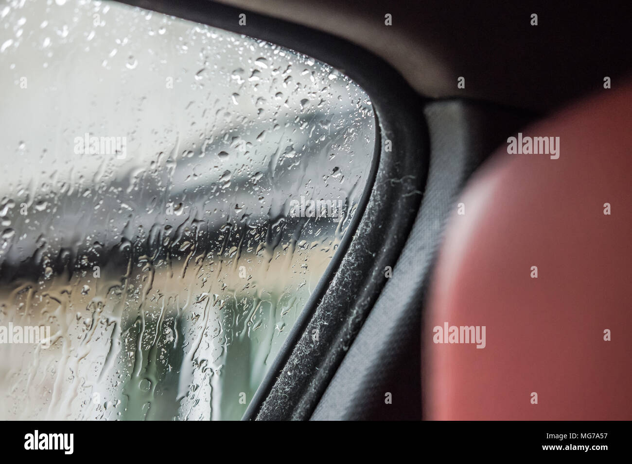 Interior view of a well known, Italian sports car maker showing detail ...