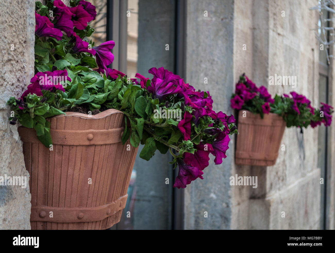 hanging flower pot in an alley of italian old town with red flowers ...