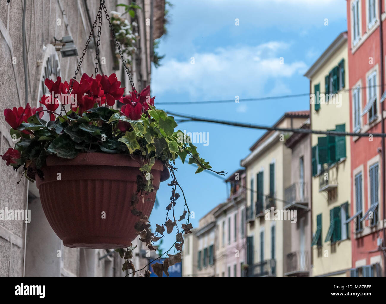Pot in the alley hi-res stock photography and images - Alamy