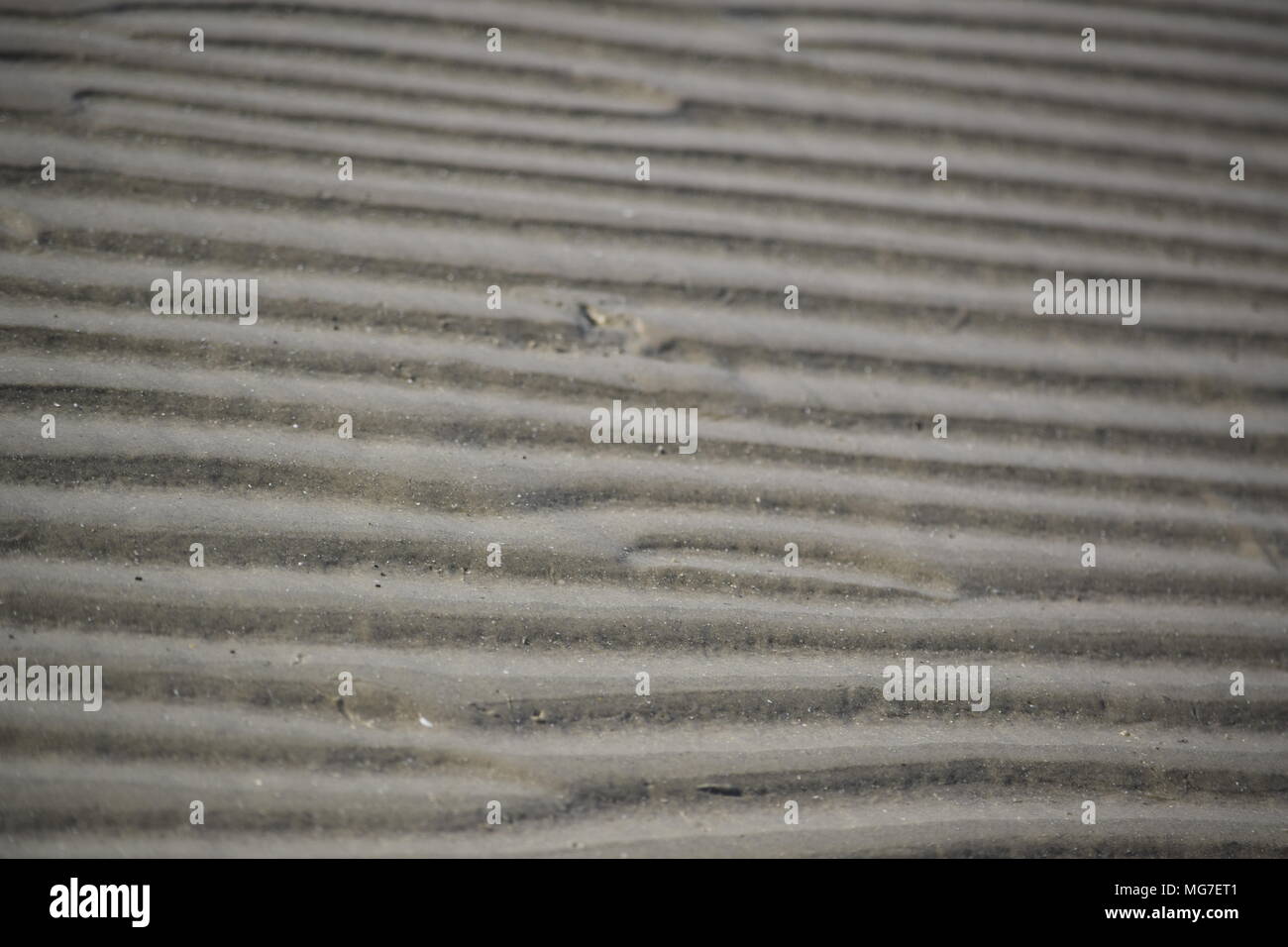 Drifting Sand make unique designs. Mother nature the artist Stock Photo ...