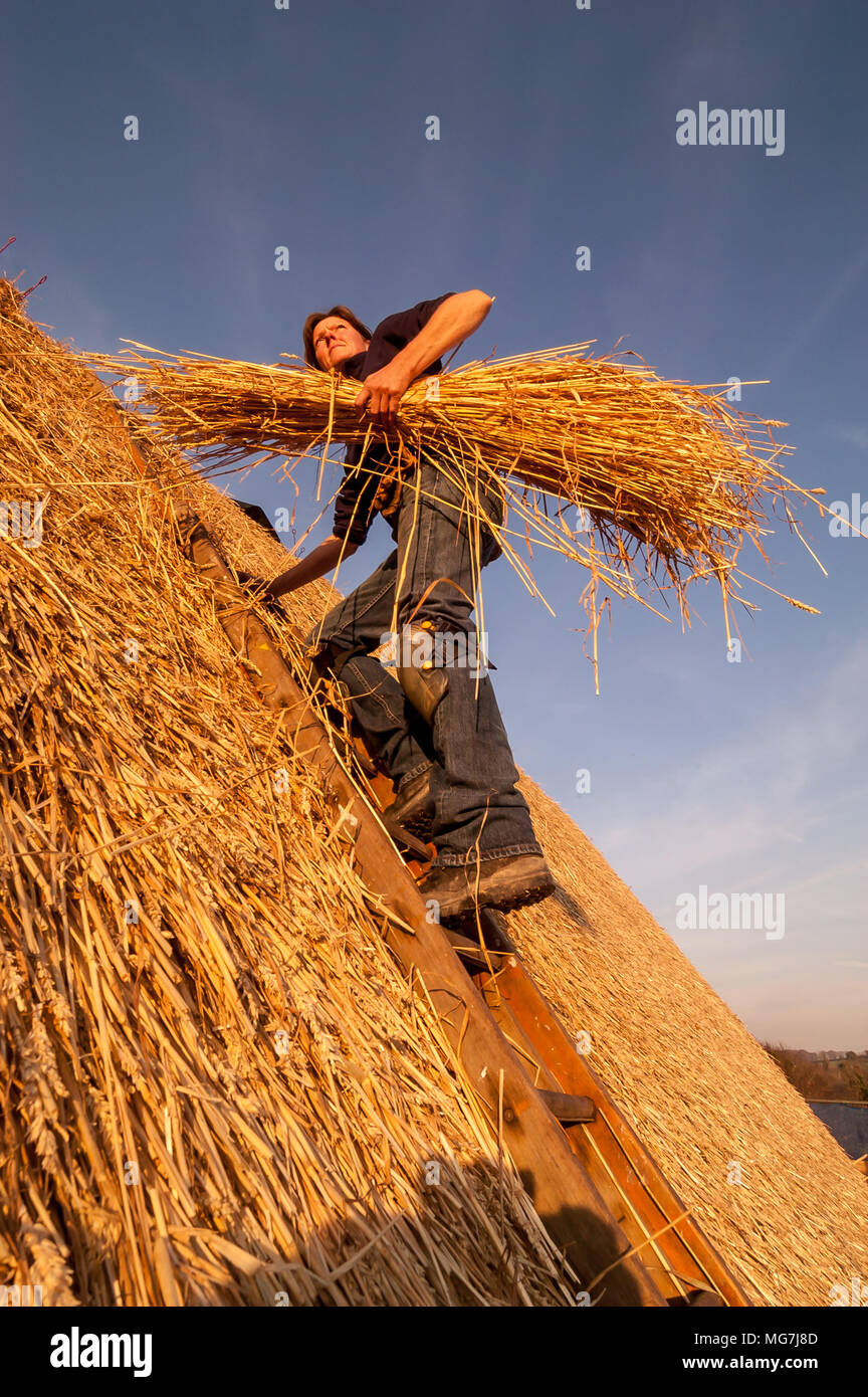 Thatcher re-thatching the roof of Alfriston Clergy House in East Sussex ...