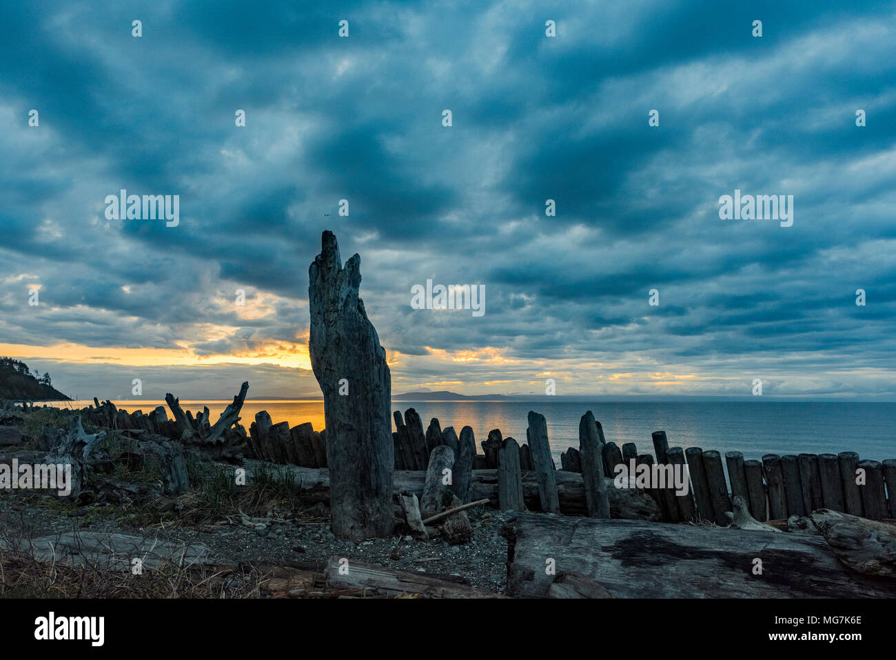 log breakwater, Goose Spit Park, Comox, British Columbia, Canada Stock ...