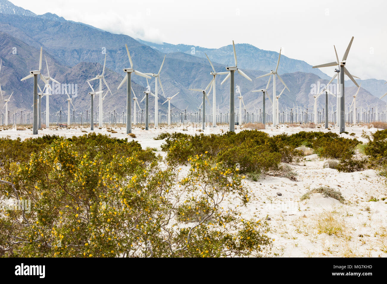 Dramatic Wind Turbine Farm in the Desert of California Stock Photo - Alamy