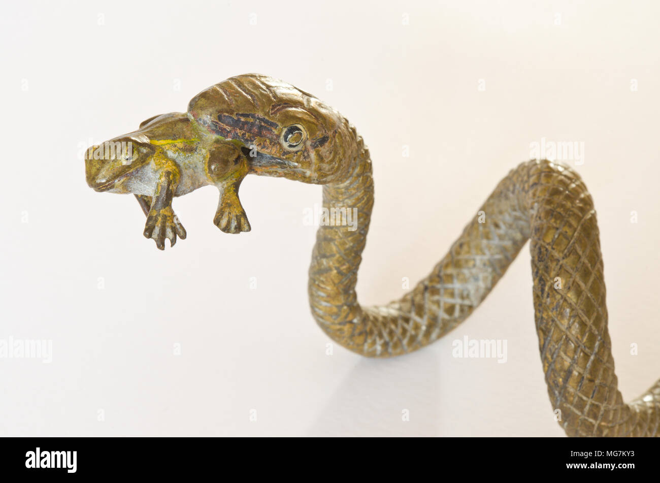 Snake feeding hi-res stock photography and images - Alamy