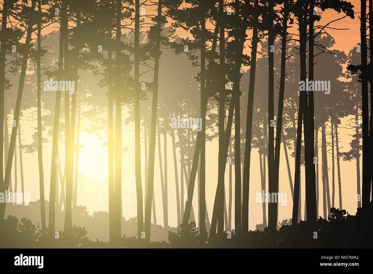 Sun shining through the trees Stock Vector Images - Alamy