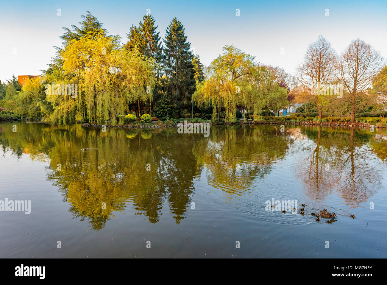 Minoru park hi-res stock photography and images - Alamy