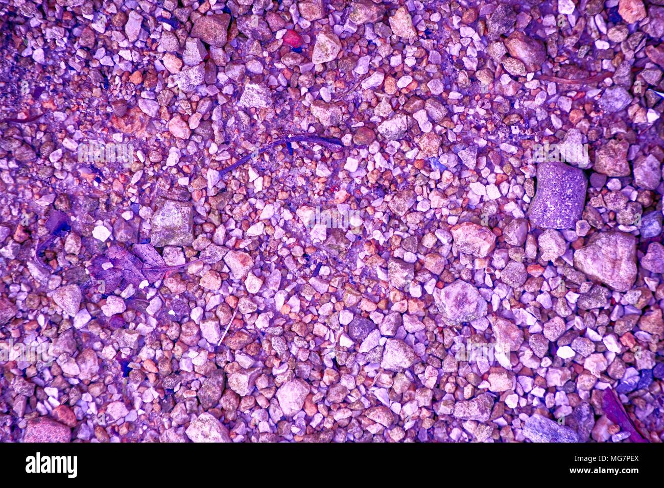 Ultra purple Pebble surface, stone texture or rock backdrop, ground ...