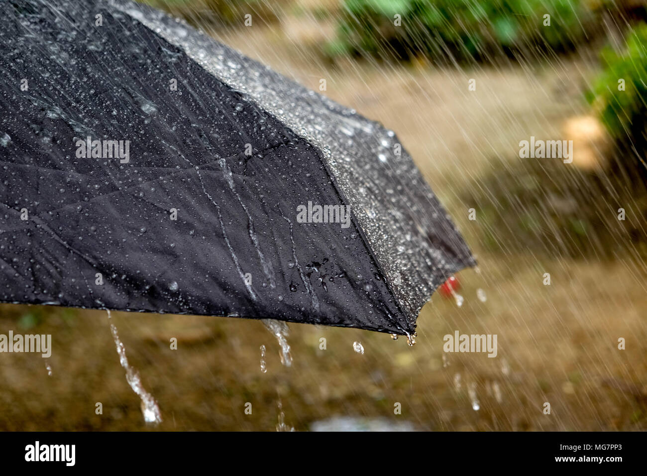 Rain drops falling from umbrella hi-res stock photography and images ...