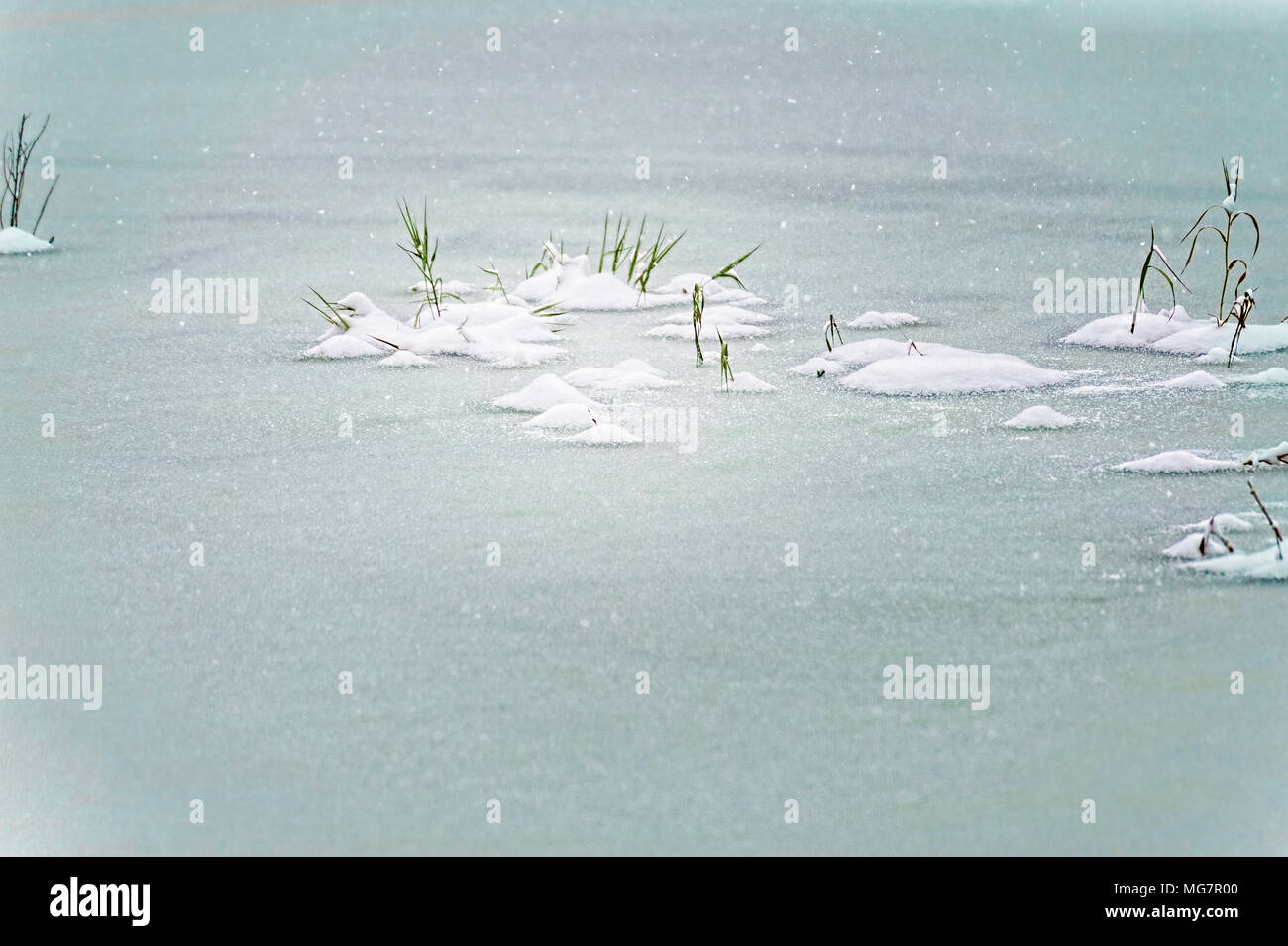 Snow on a pond hi-res stock photography and images - Alamy