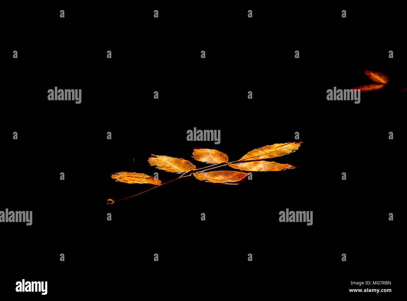 Floating background hi-res stock photography and images - Alamy