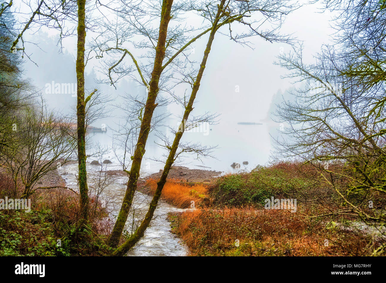 Lewis river washington hi-res stock photography and images - Alamy