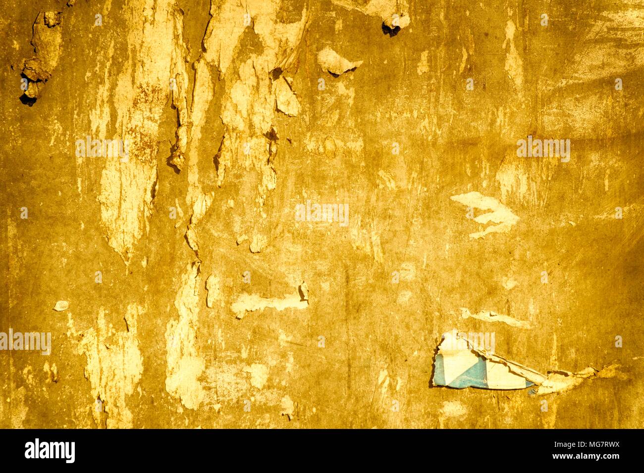 Ultra yellow Torn poster after vote on tin textured wall Ripped ...