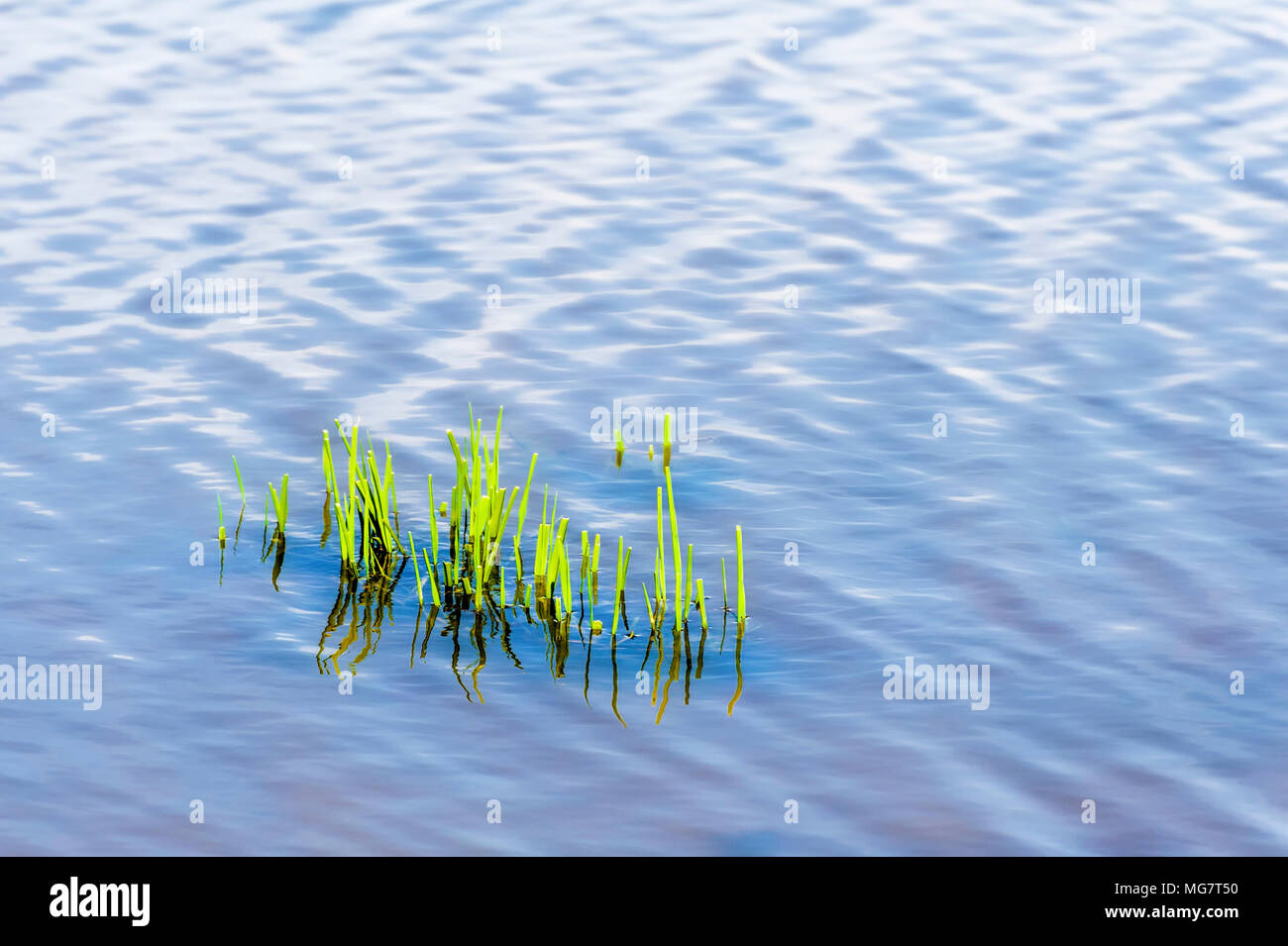 Glass of water river background hi-res stock photography and images - Alamy