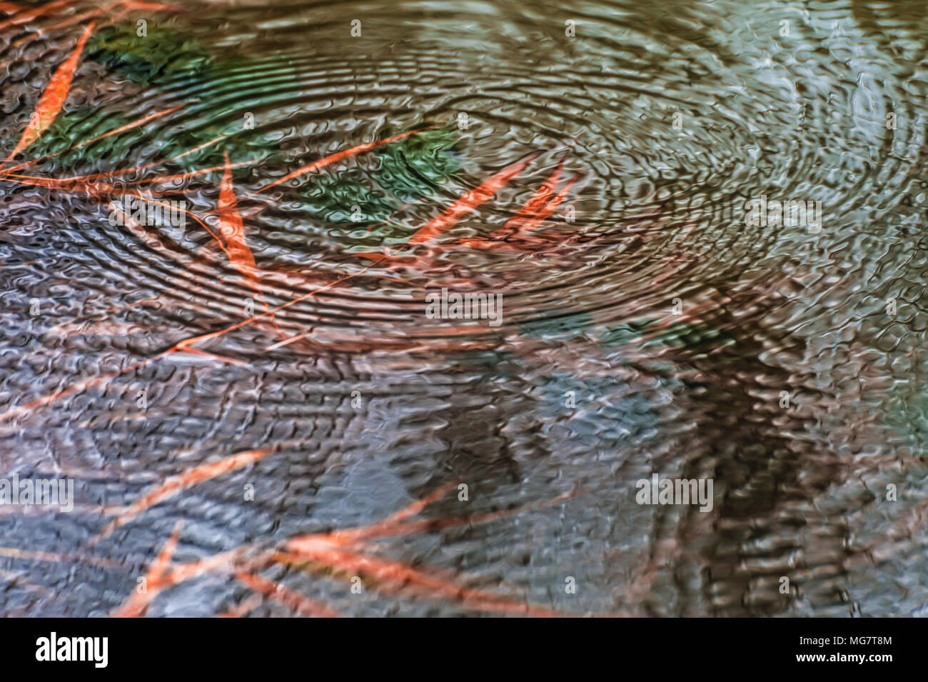 Raindrop patterns hi-res stock photography and images - Alamy