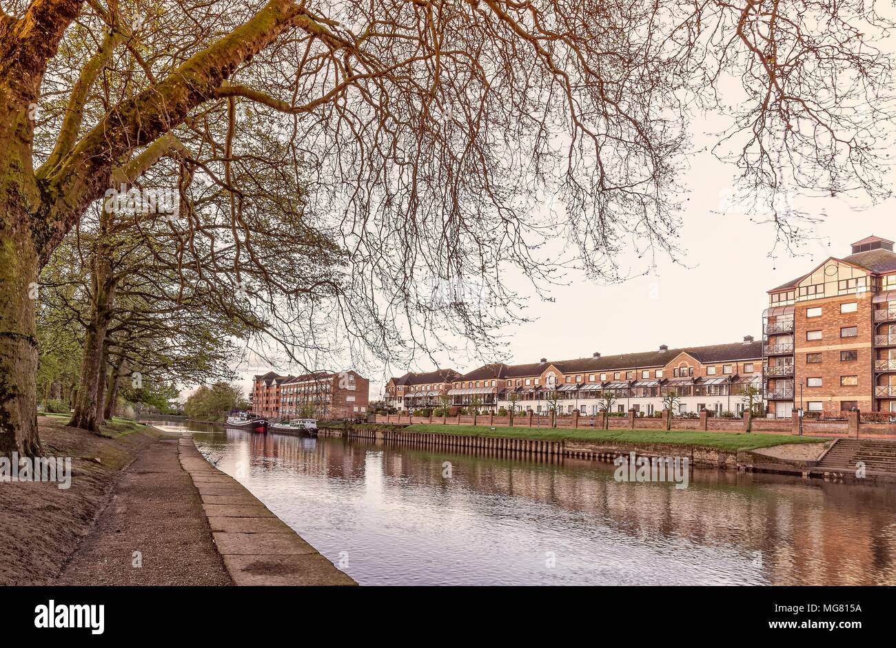 Path alongside the River Ouse in York. Trees in bud overhang and two ...