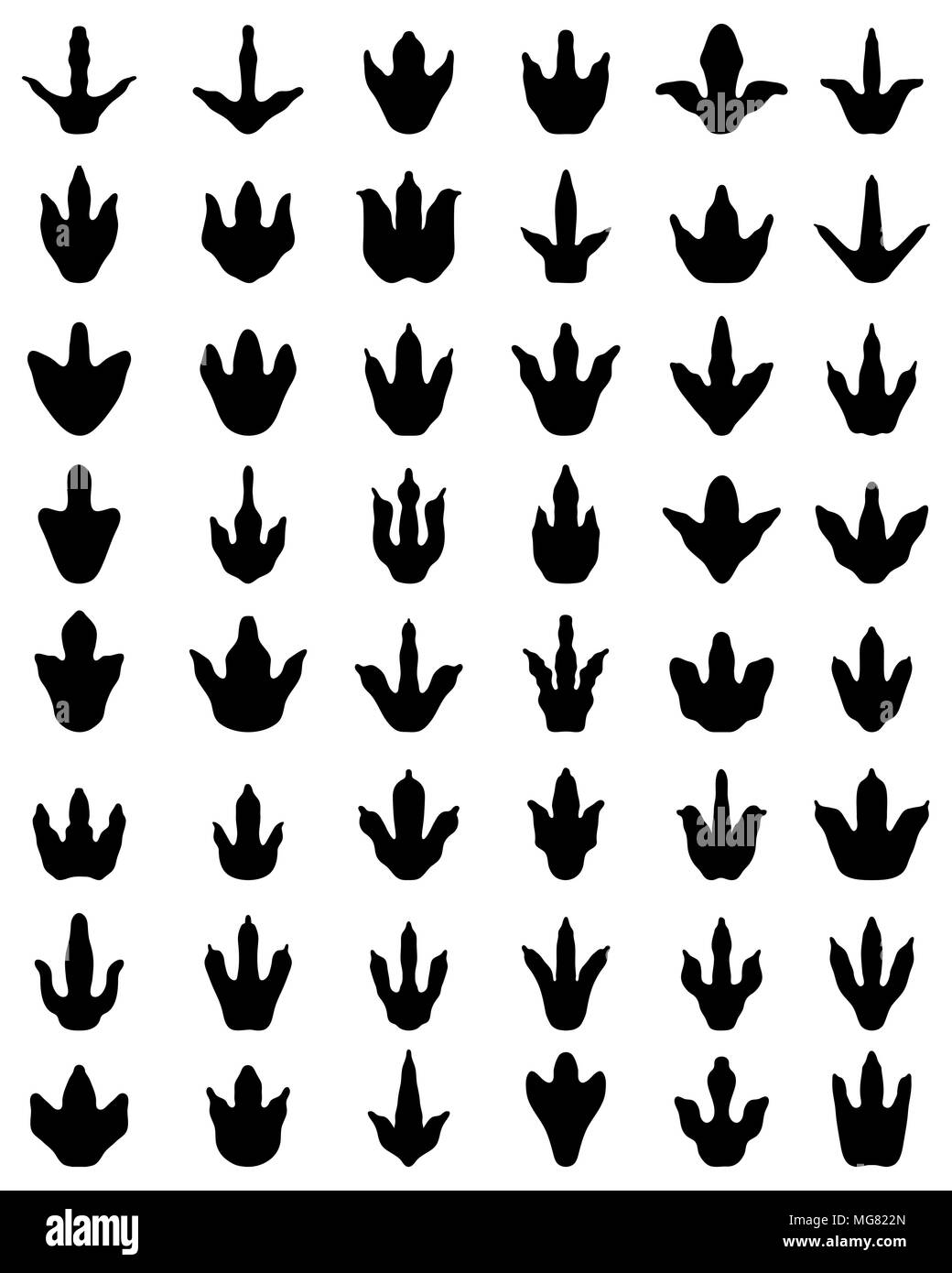 Dinosaur footprint hi-res stock photography and images - Alamy