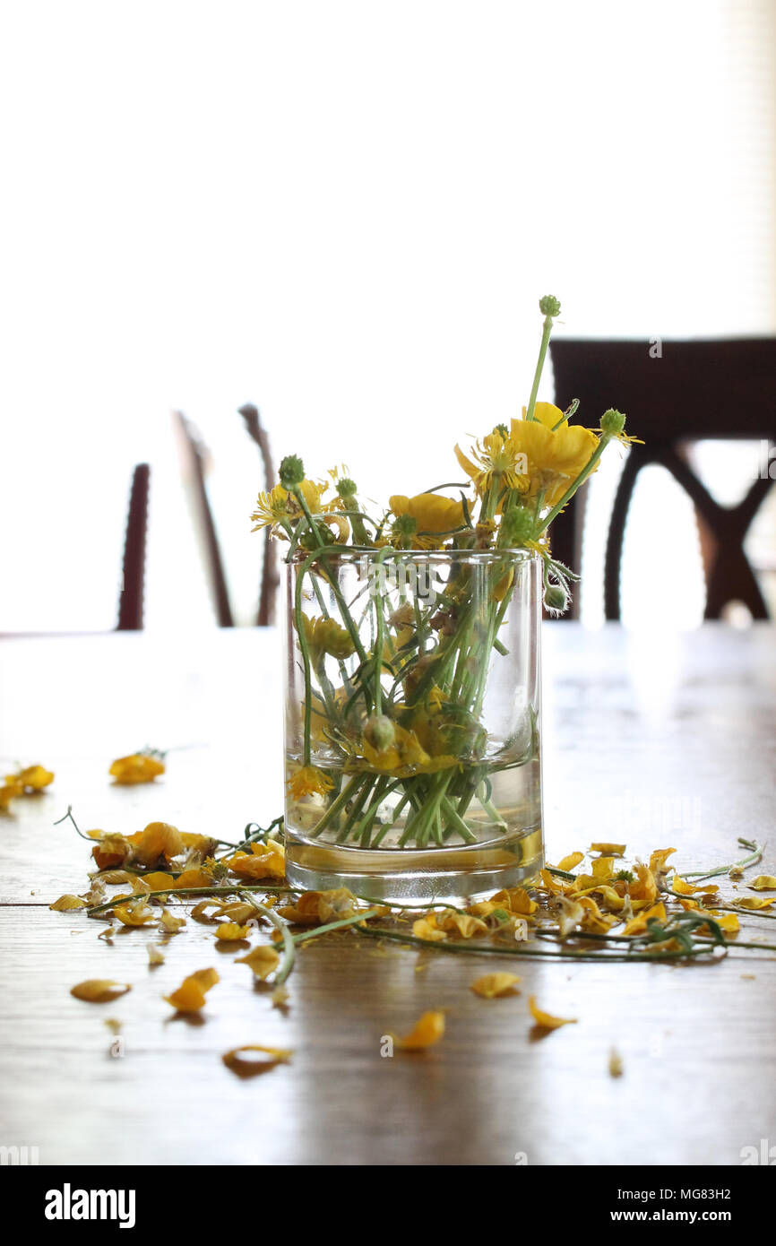 Destroyed Flowers Bright Stock Photo - Alamy