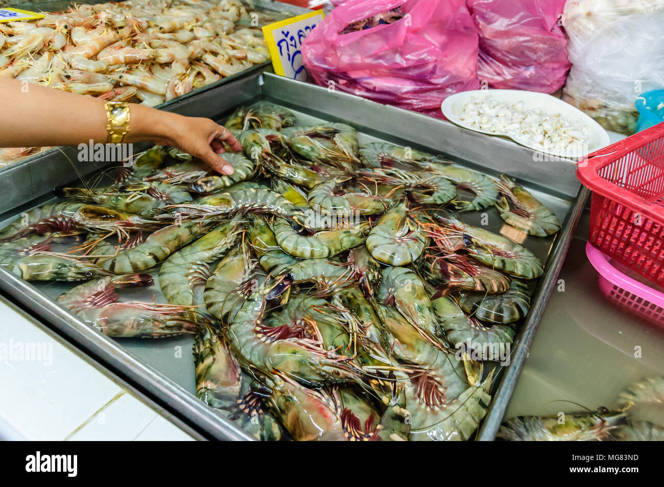 Thailand shrimp not meal not underwater hi-res stock photography and ...