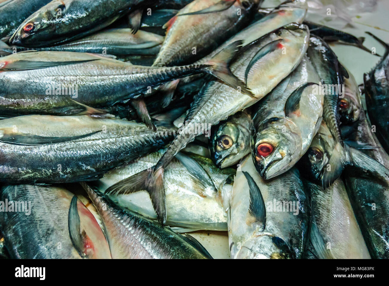 Pile of fresh fish on market stall in Southern Thailand Stock Photo - Alamy