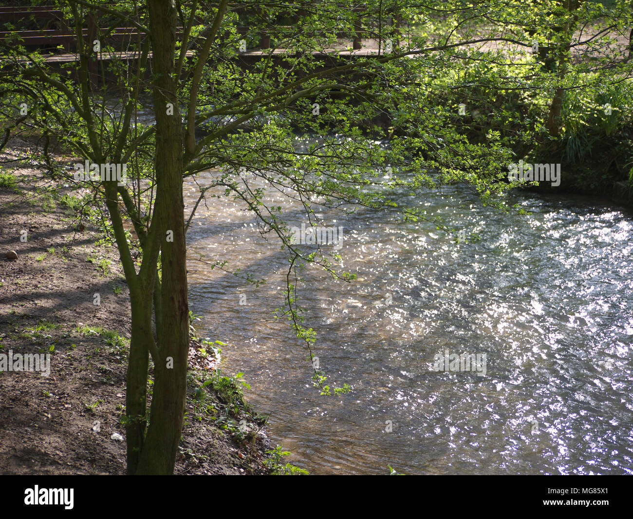 River Lud flowing through Hubbards Hills Louth Lincolnshire Stock Photo ...