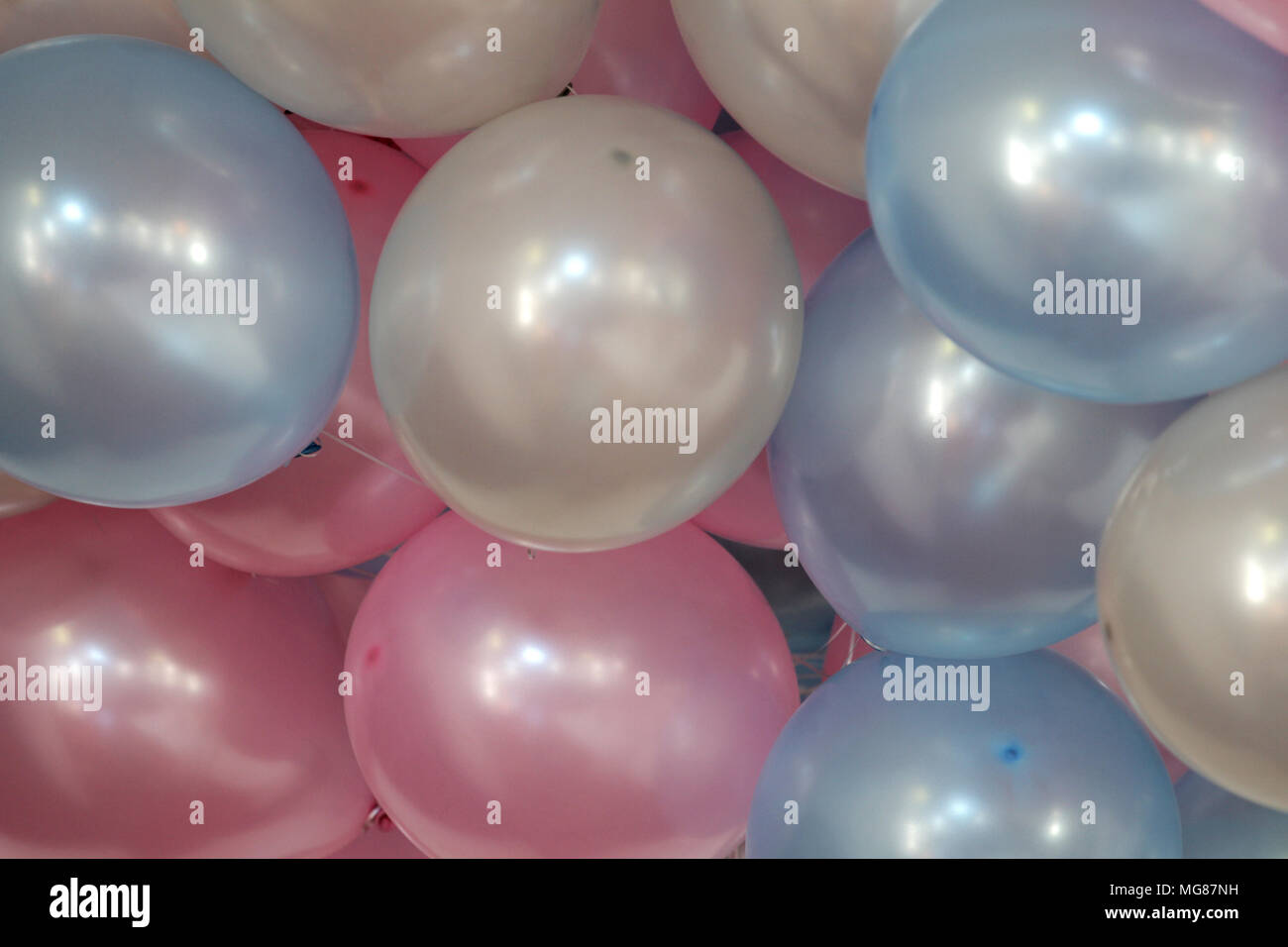 Metallic coloured helium balloons Stock Photo - Alamy