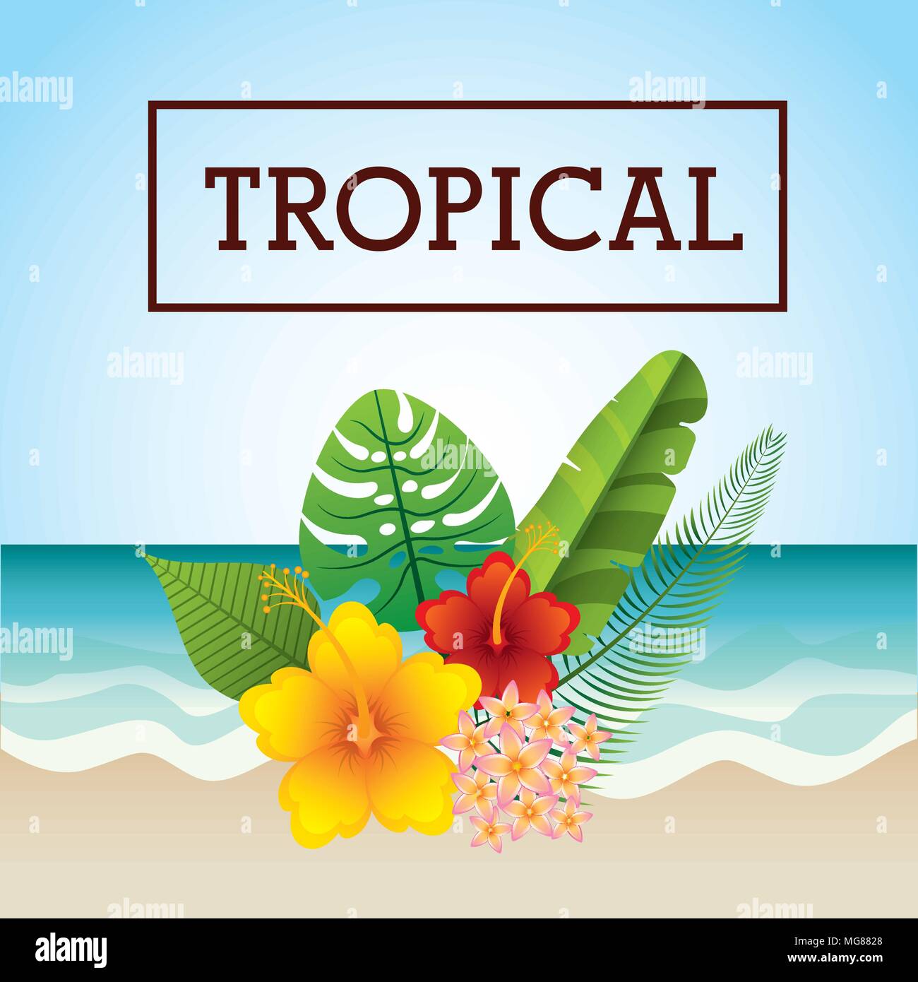 tropical frame design, vector illustration eps10 graphic Stock Vector ...