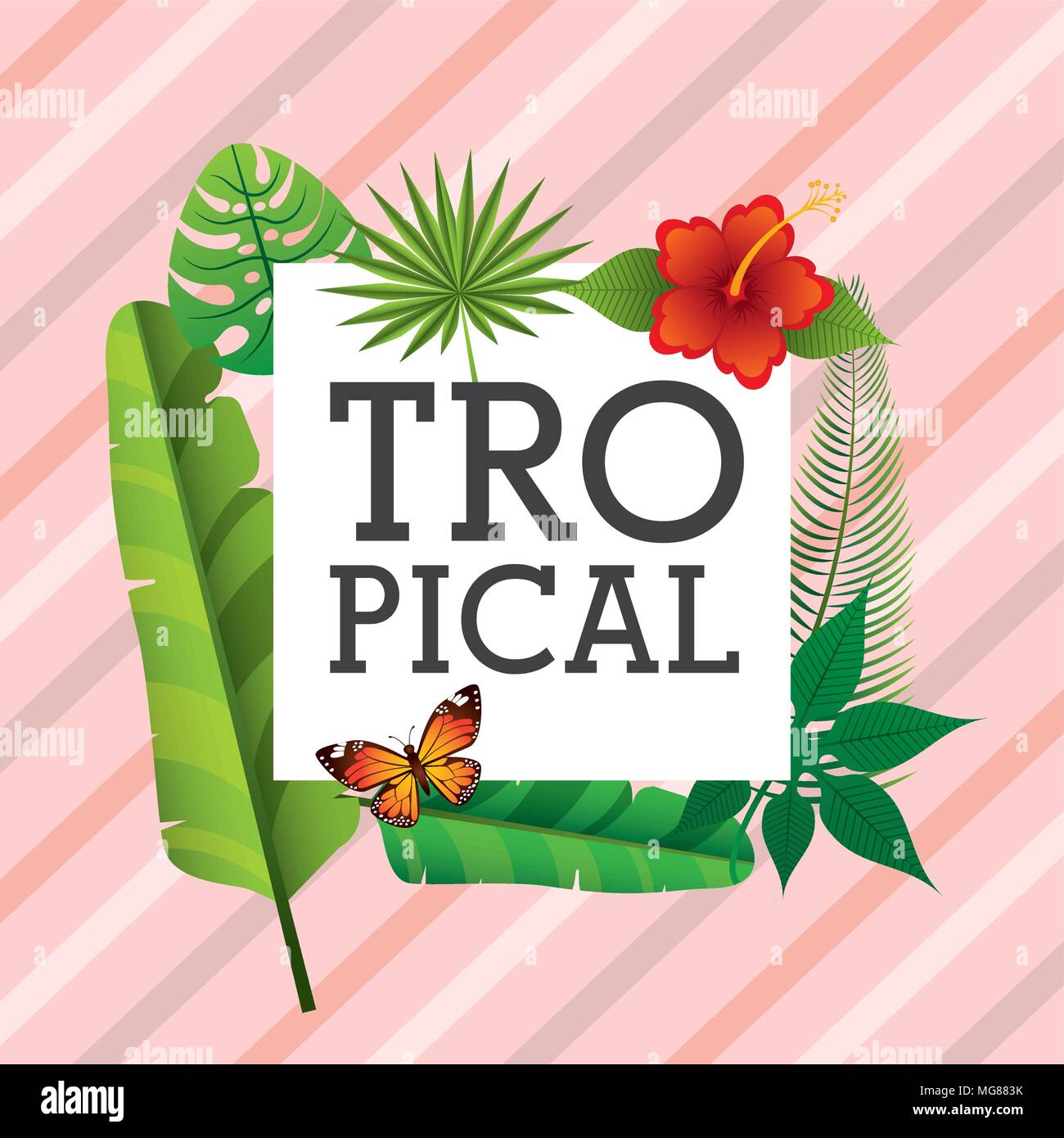 tropical frame design, vector illustration eps10 graphic Stock Vector ...