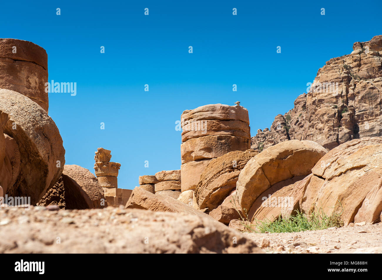 Roman columns of the Great temple complex in Petra (Rose City), Jordan ...