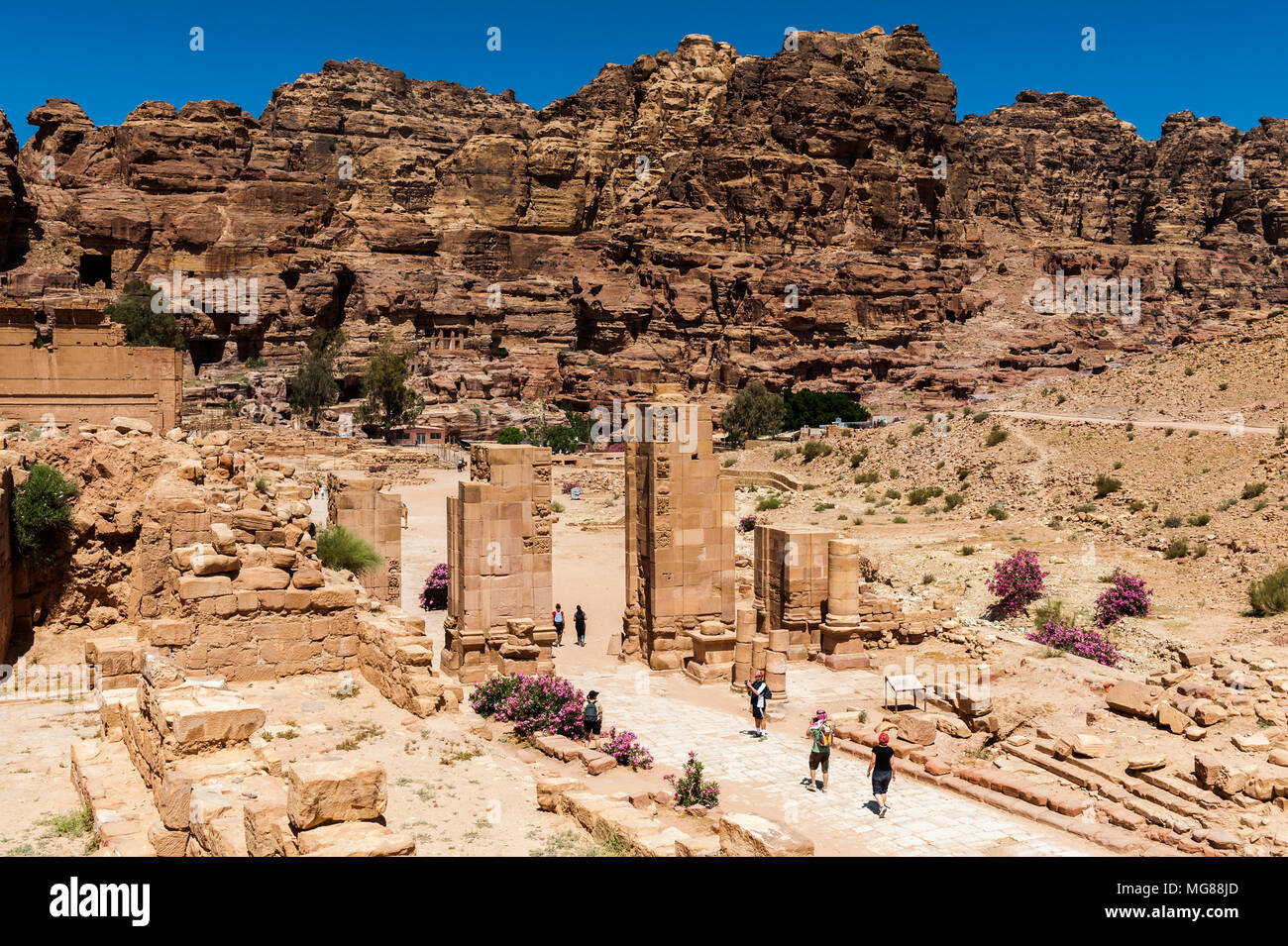 Roman columns of the Great temple complex in Petra (Rose City), Jordan ...