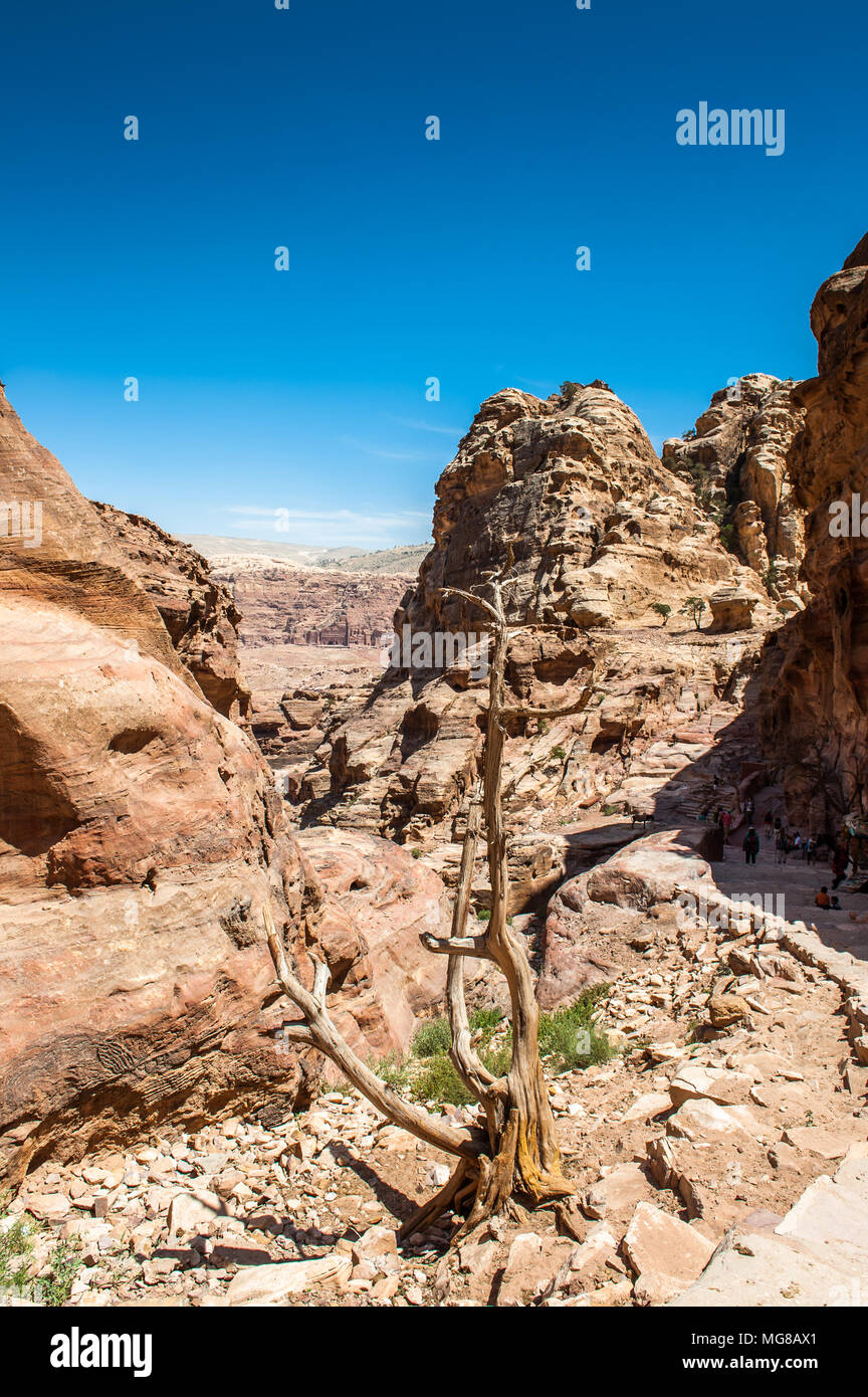 Beautiful Nature of Petra Stock Photo - Alamy