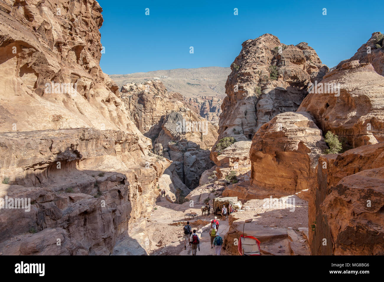 Rocks and nature in Petra, Jordan Stock Photo - Alamy
