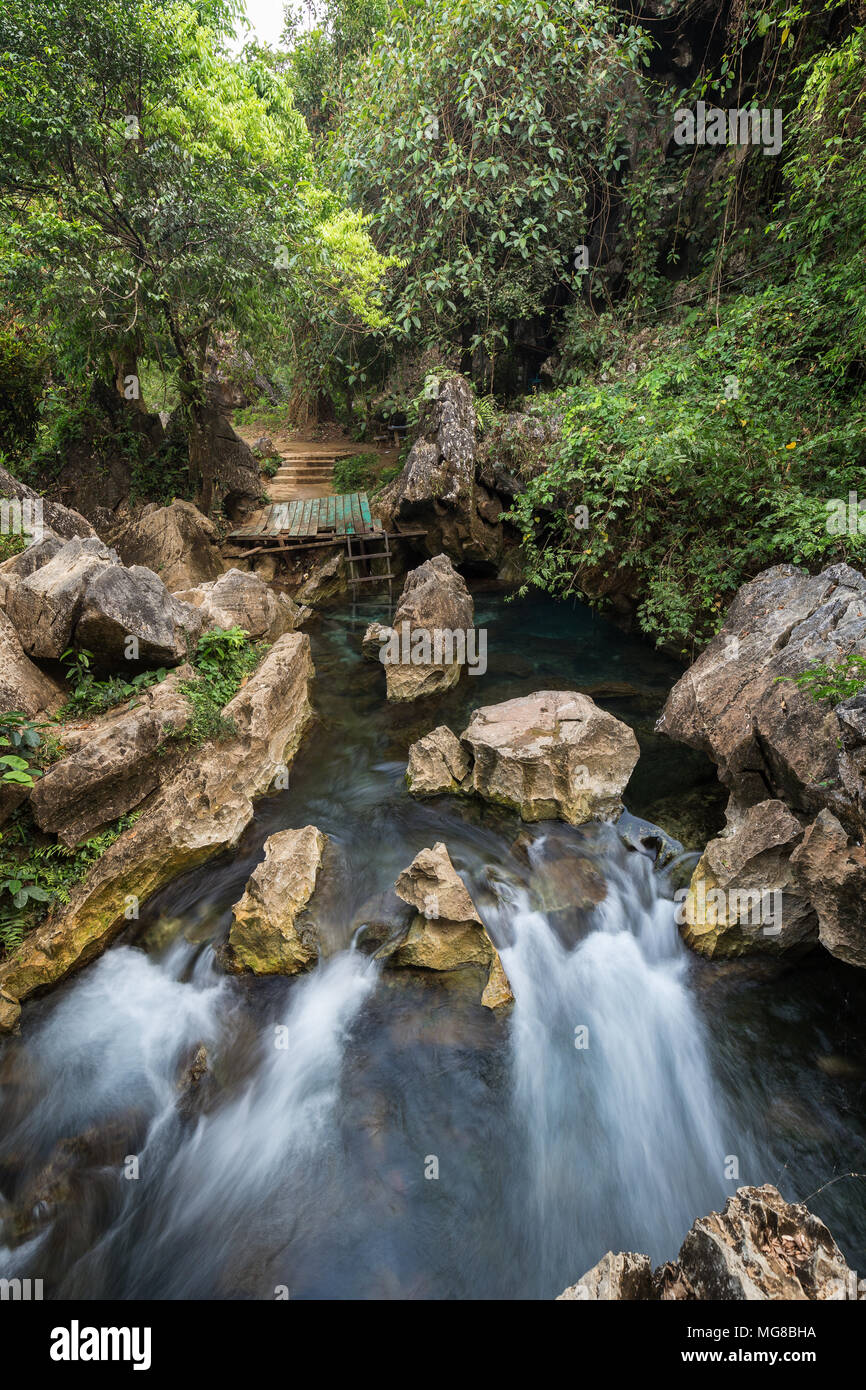 Beautiful landscape of a rocky pond, stream and lush vegetation next to ...