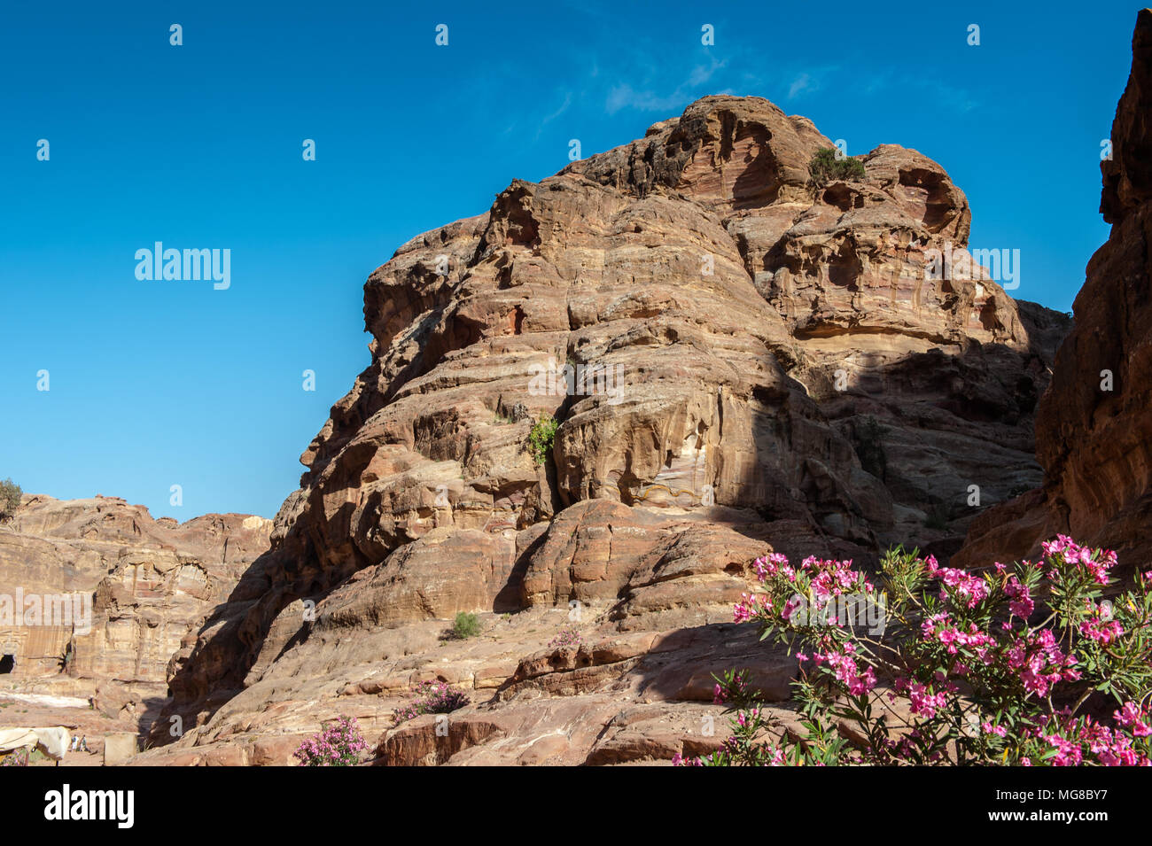 Nature and mountains of Petra, Jordan Stock Photo - Alamy