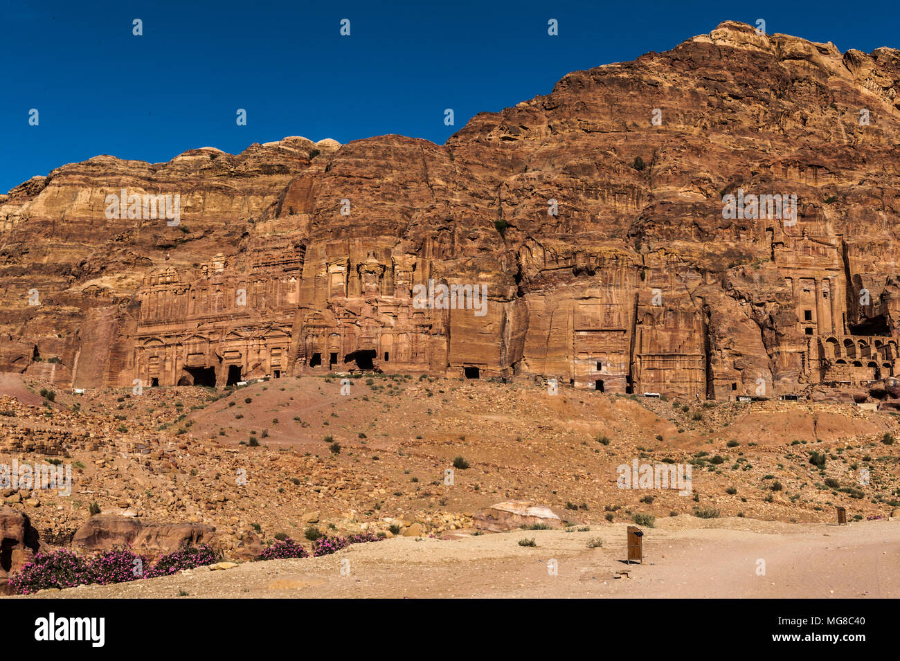 Rock cut architecture in Petra. The city of Petra was lost for over ...