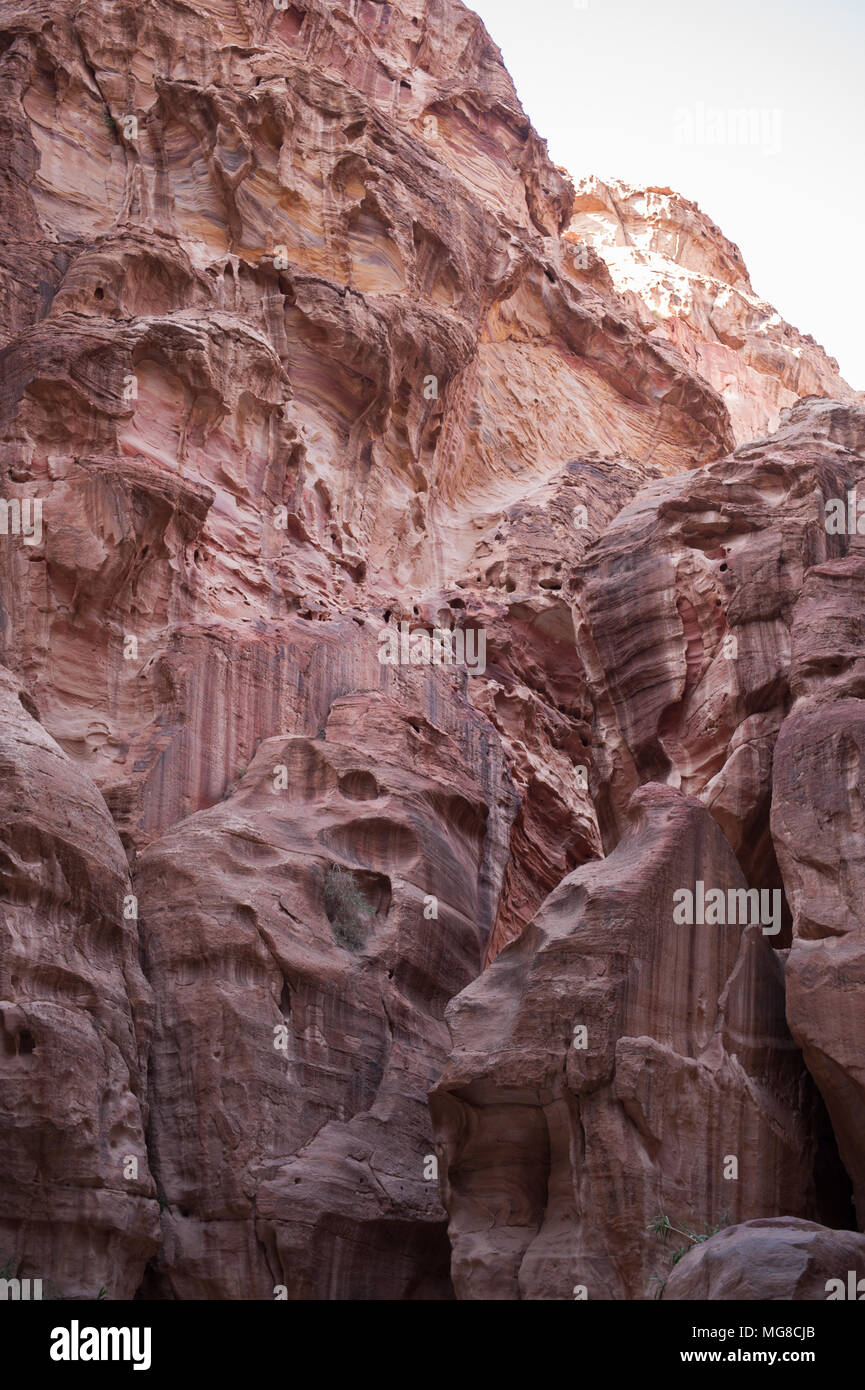 Canyon in Petra (Red Rose City). The city of Petra was lost for over ...