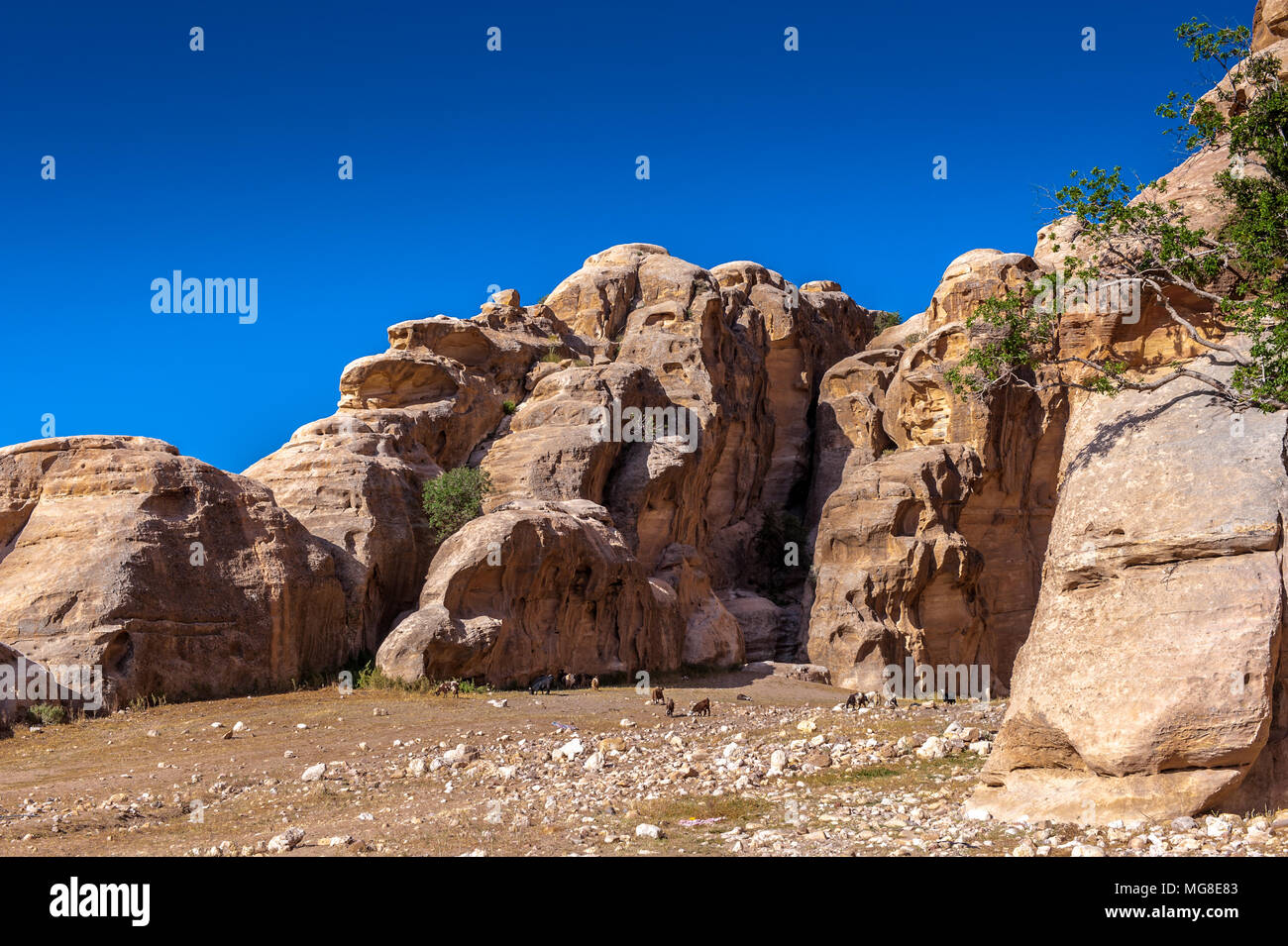 Rocks of Beidha, a major Neolithic archaeological site Stock Photo - Alamy