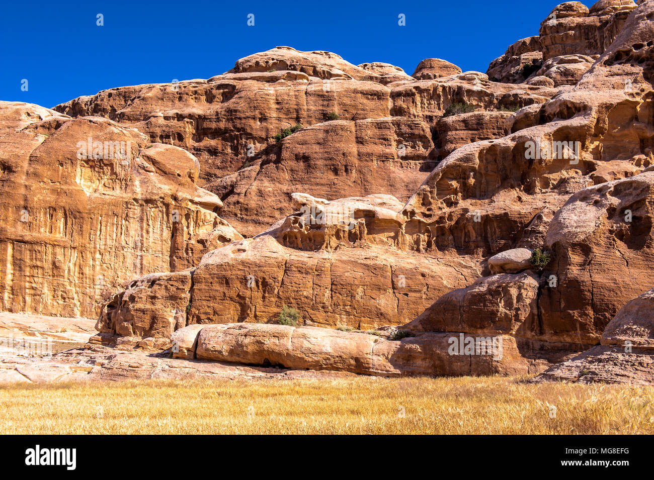 Nature of Beidha, a major Neolithic archaeological site Stock Photo - Alamy