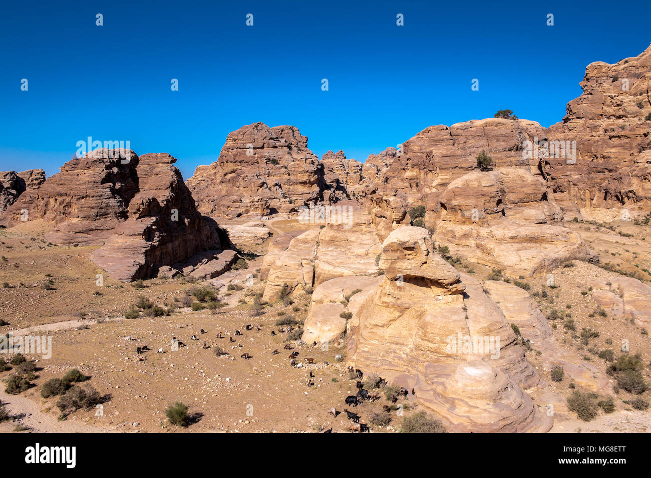 Beidha, a major Neolithic archaeological site Stock Photo - Alamy