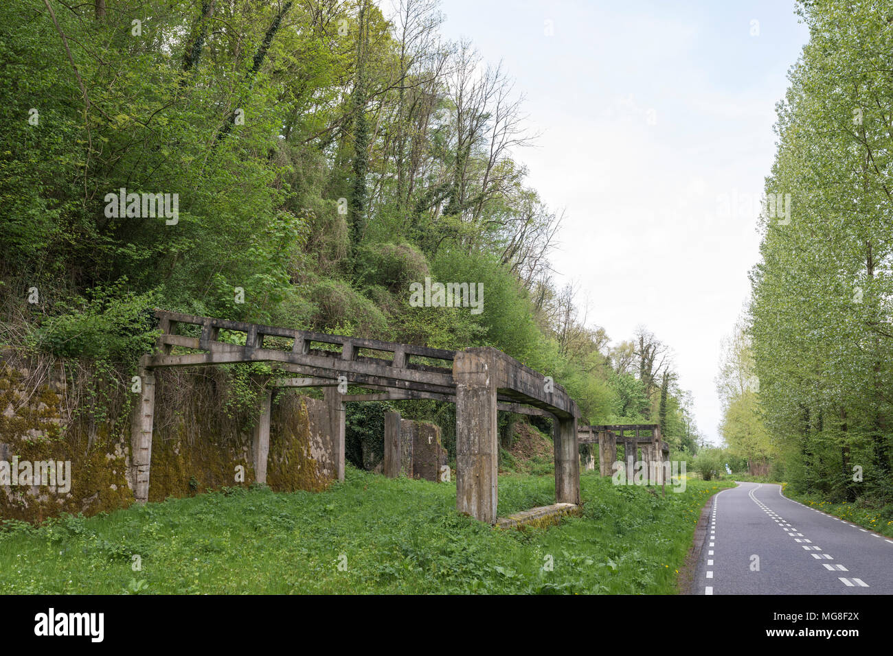 Molch 1944 hi-res stock photography and images - Alamy