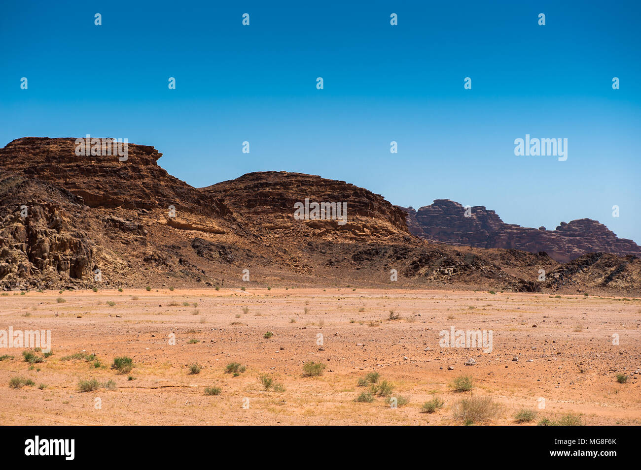 Nature of Wadi Rum (Valley of the Moon), Jordan Stock Photo - Alamy