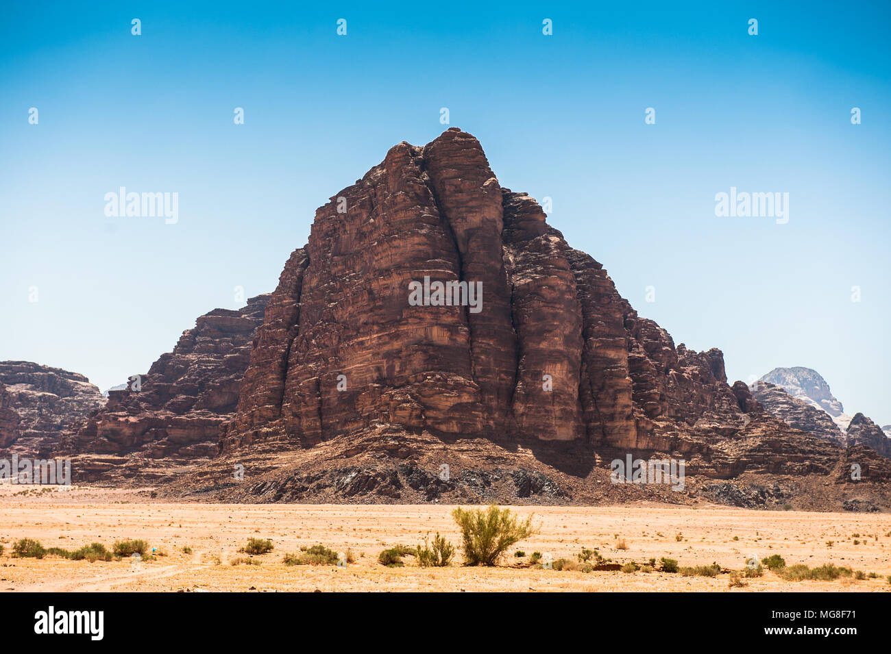 Nature of Wadi Rum (Valley of the Moon), Jordan Stock Photo - Alamy