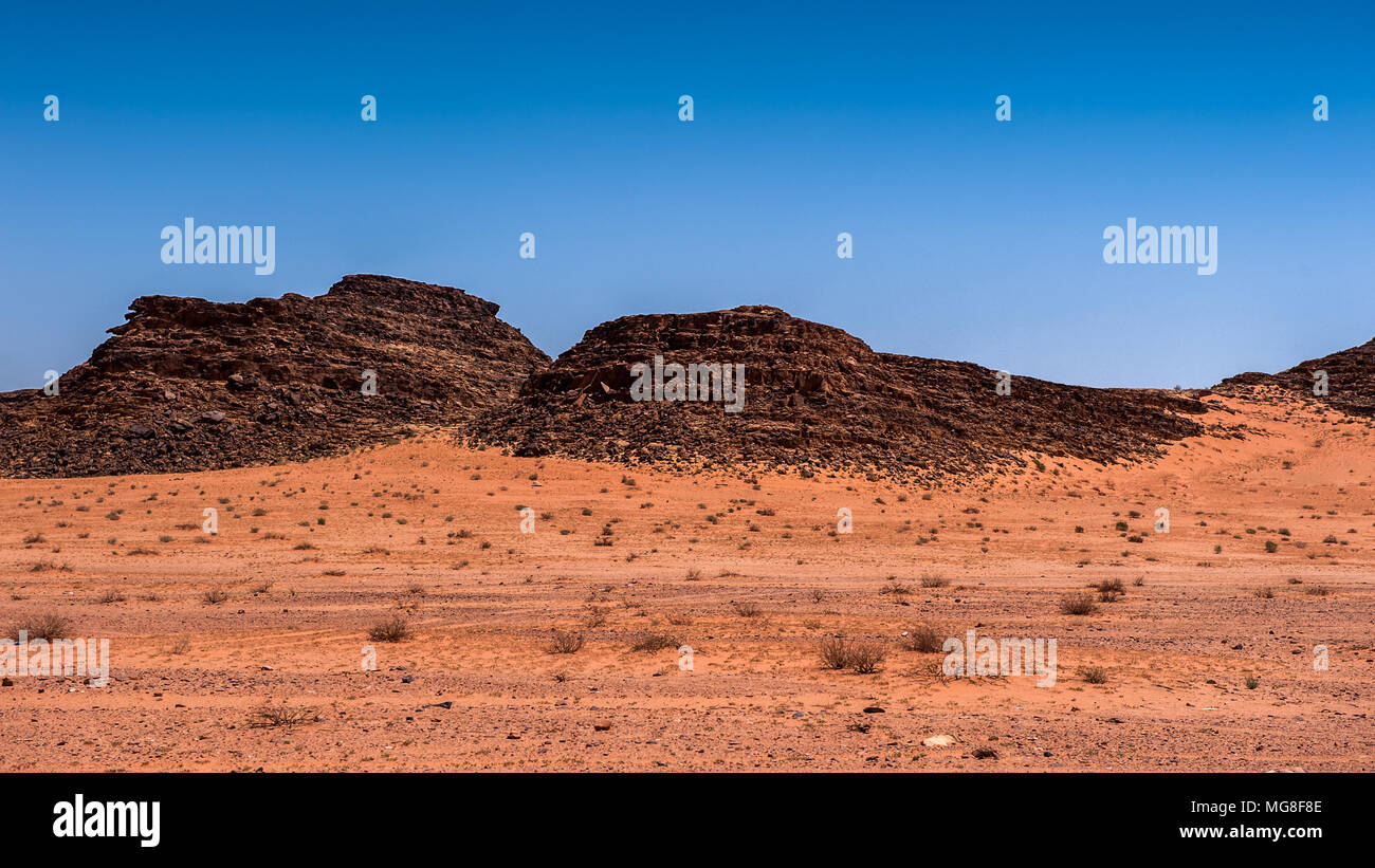 Nature of Wadi Rum (Valley of the Moon), Jordan Stock Photo - Alamy