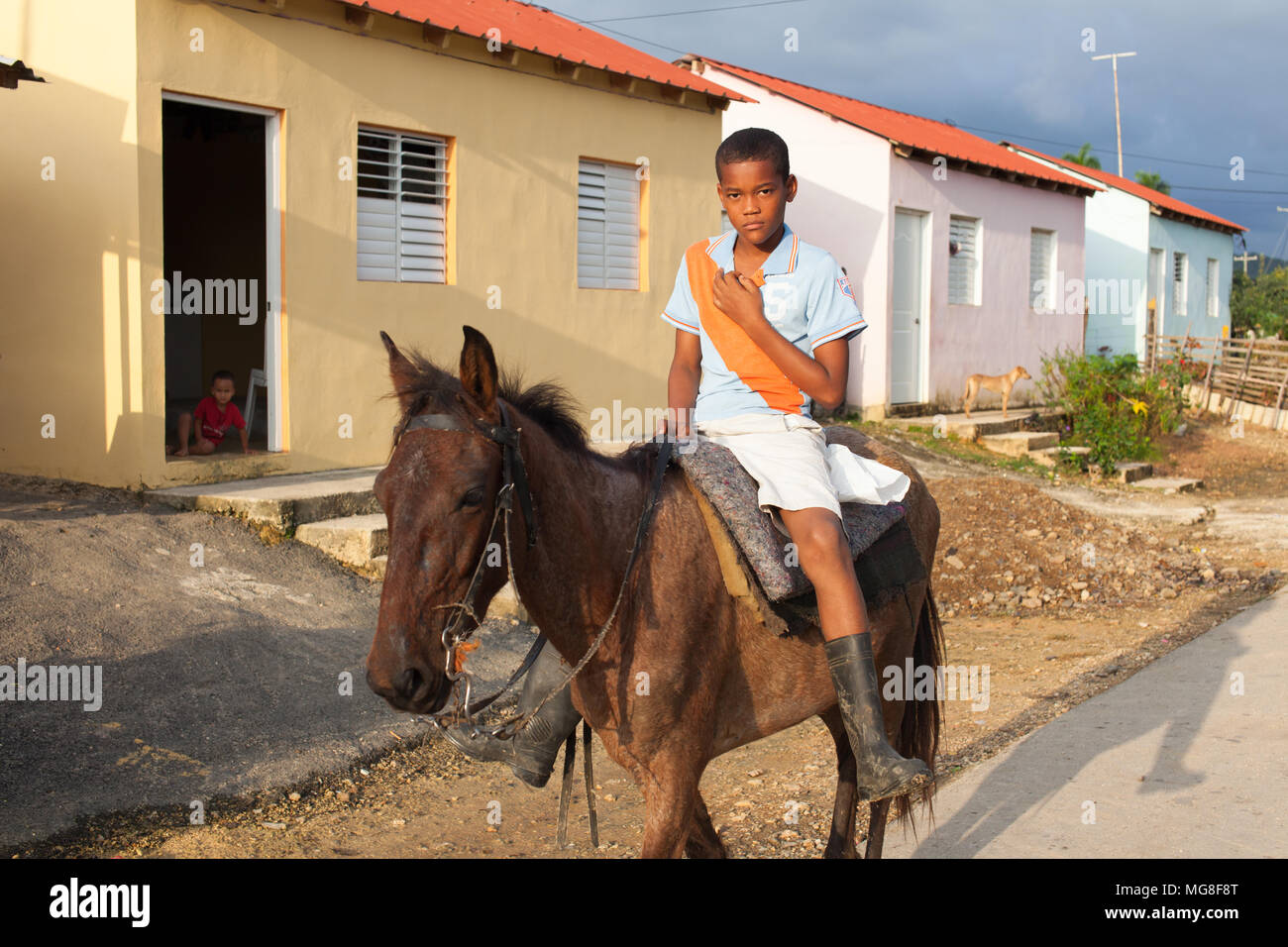 Boy riding horse in the morning Stock Photo - Alamy