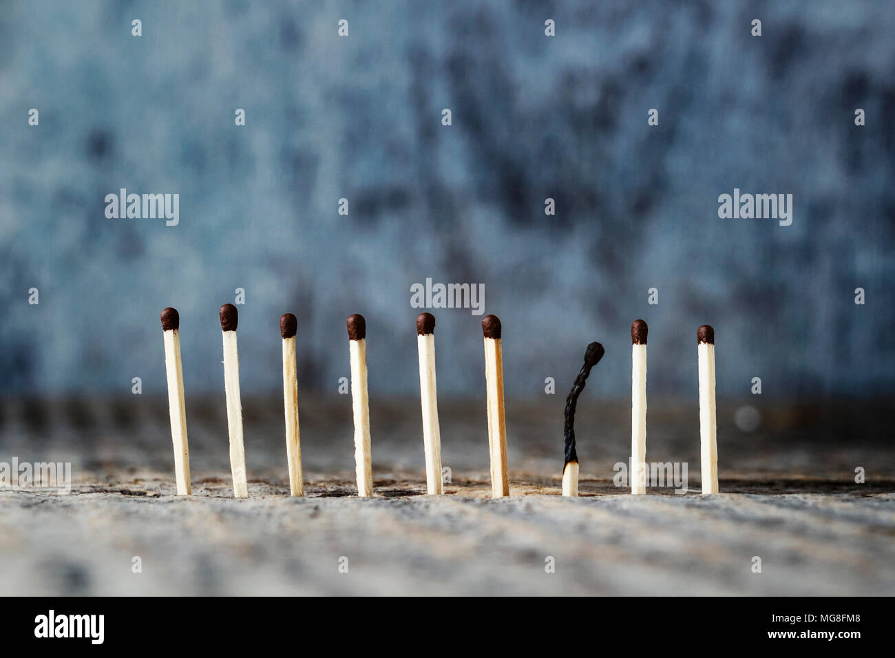 Burnt matchsticks in black background hi-res stock photography and ...