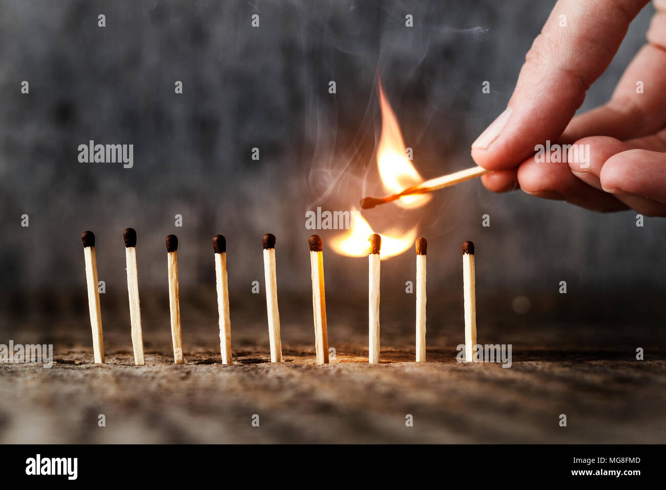 matches stand in a row, one match burns. a human sets one match on fire ...