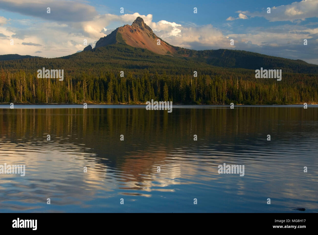 Mt Washington from Big Lake, McKenzie Pass-Santiam Pass National Scenic ...